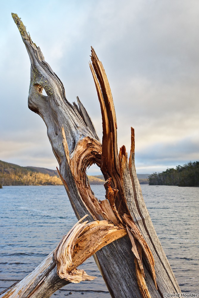 66 in 52 – A One Year Journey Through the Bible